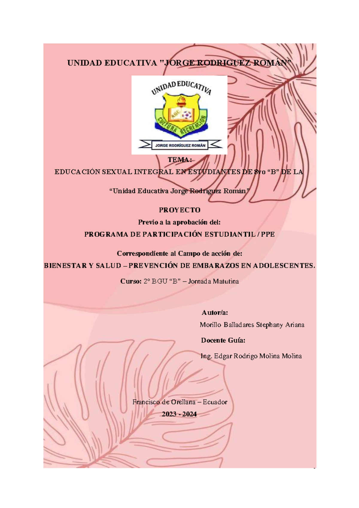 P - TRABAJO DE PPE - UNIDAD EDUCATIVA "JORGE RODRIGUEZ ROMÁN” TEMA ...