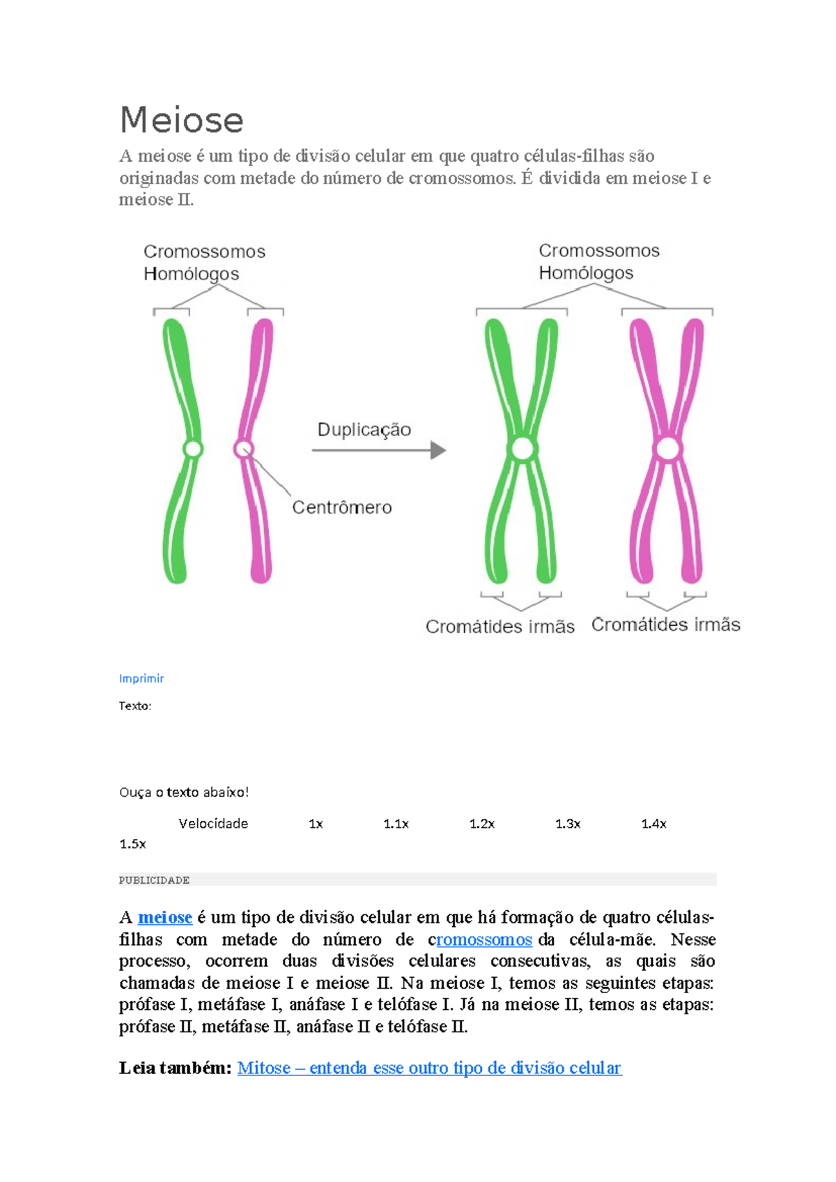 Identificar e sequenciar fases de meiose, nas divisões I e II - Meiose ...