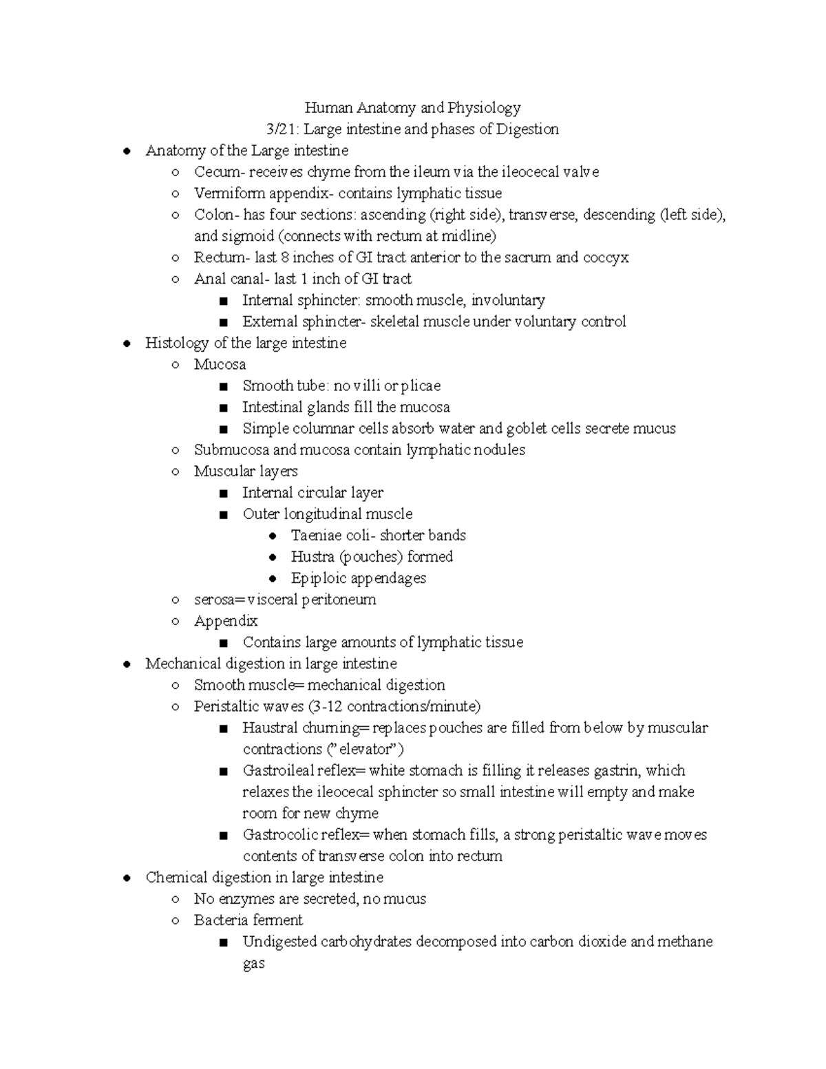 The large Intestine and the Phases of Digestion Lecture Notes - Human ...