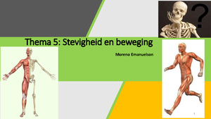 Jfk-airport-map - Djdjej - Daily Parking: Red, Orange, Yellow, Blue ...