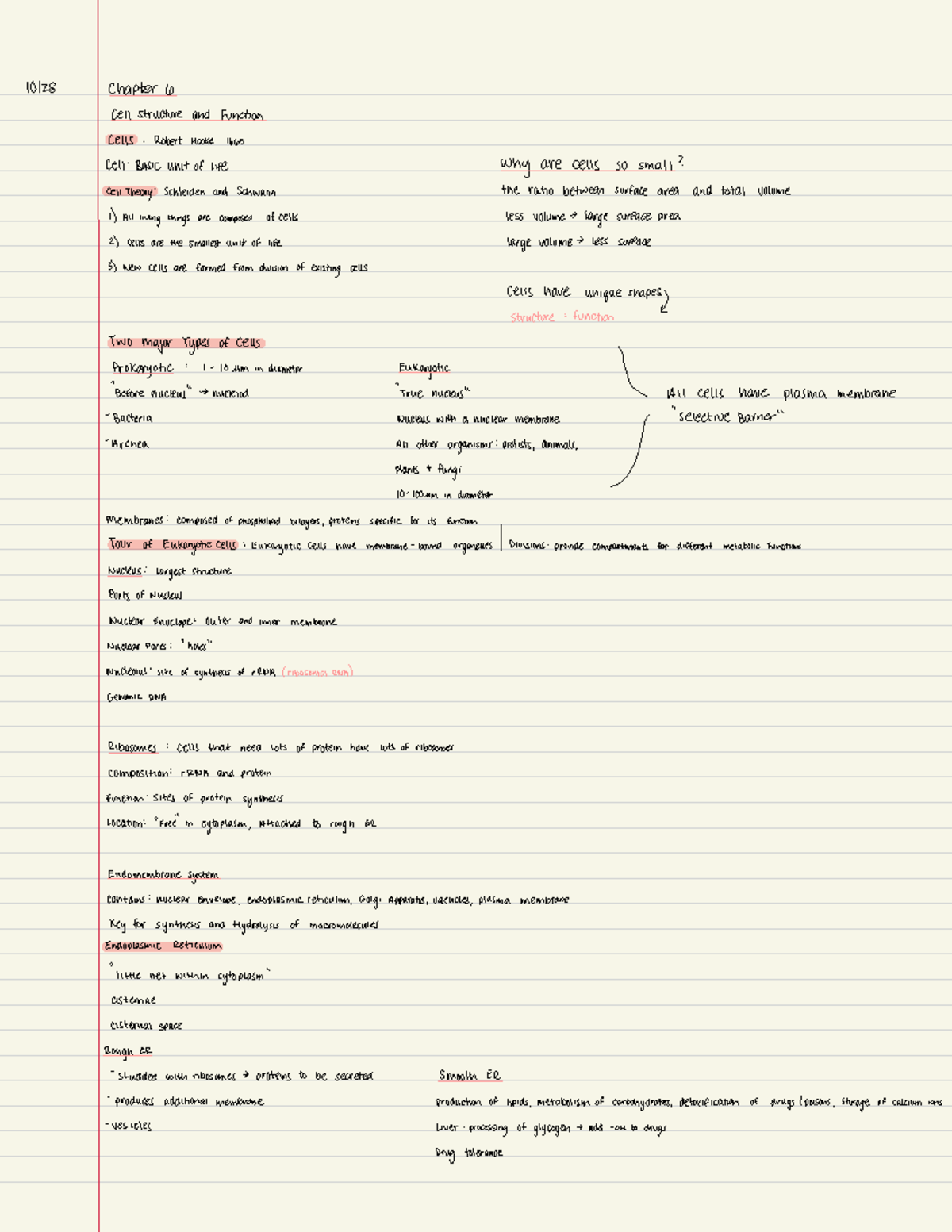 Chapter 6 Cell Structure - 10128 Chapter O ####### Cell structure and Function ####### Cells ...