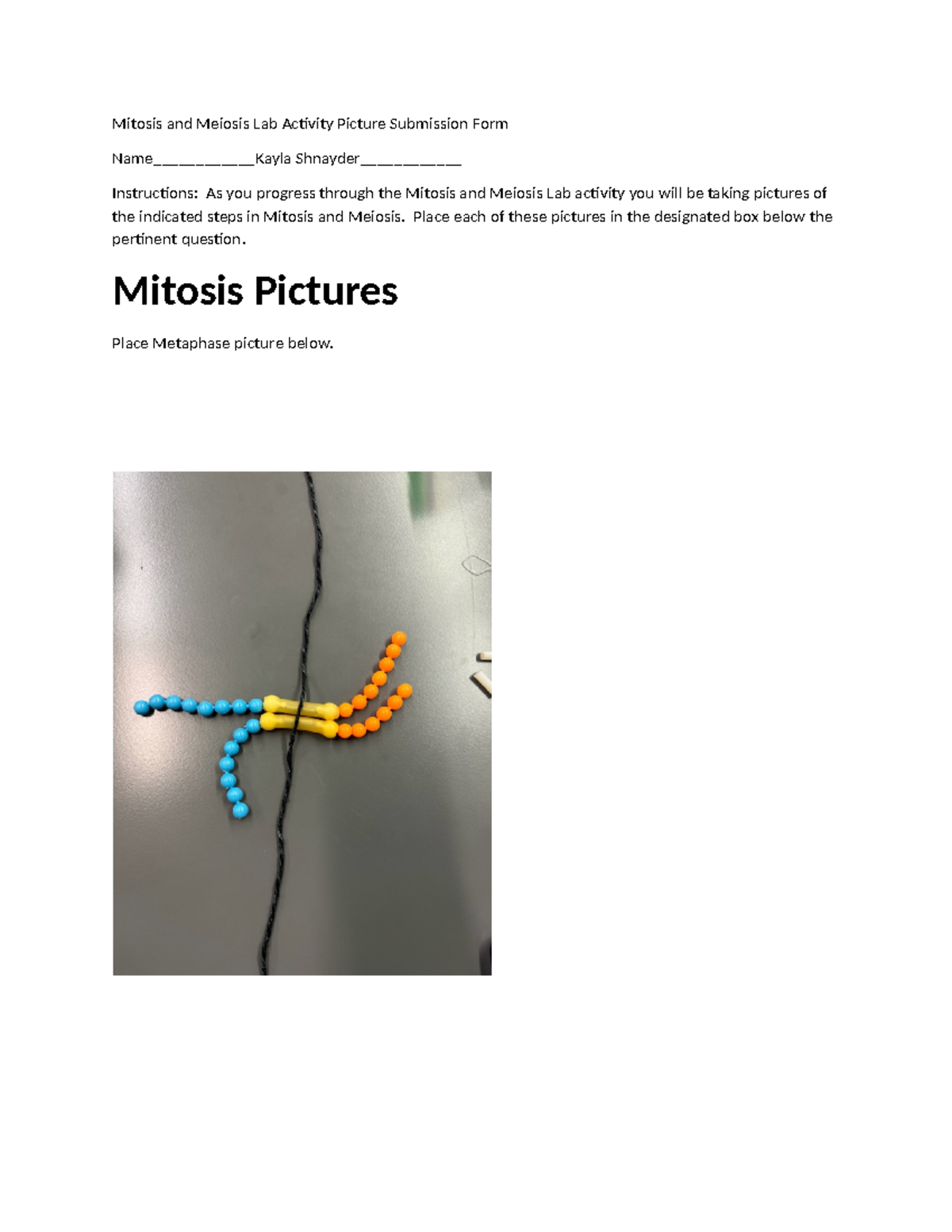 Mitosis and Meiosis Lab Activity Picture Submission Form - Mitosis and ...