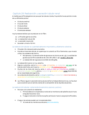 Cap 55 reflejos resumen - CAPÍTULO 55 GUYTON Y HALL ed 13 ° Funciones motoras de la médula ...