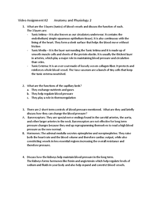 Male and female reproductive system assignment - Video Assignment #11 ...