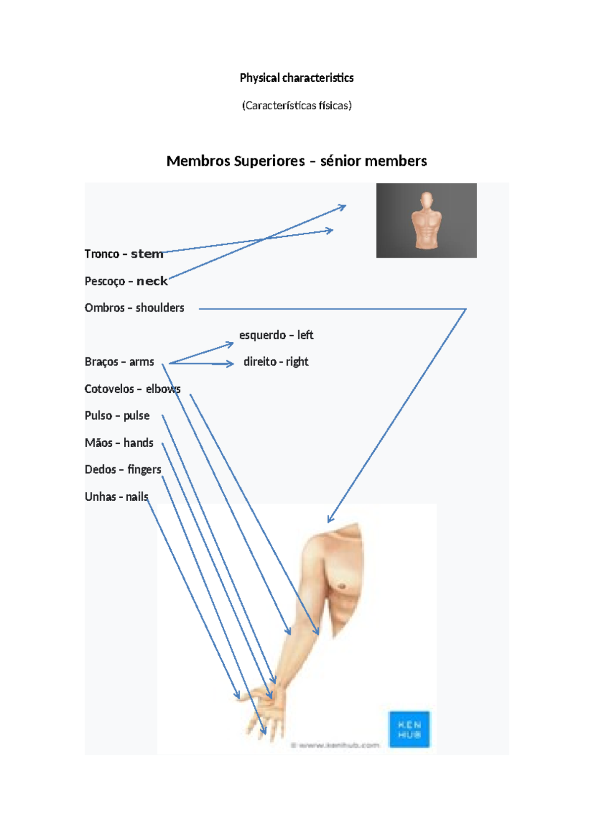 Physical characteristics - Physical characteristics (Características ...