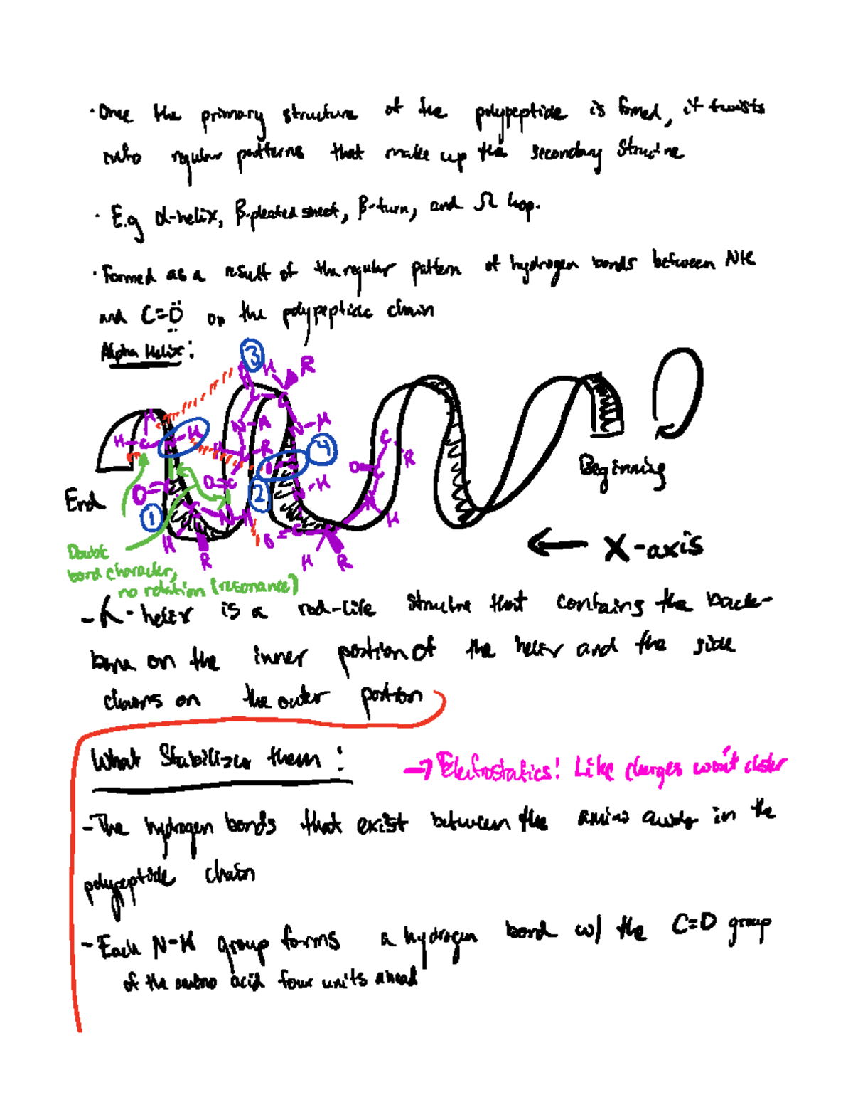 Secondary Structure Notes - BIOCHEM 5613 - Studocu