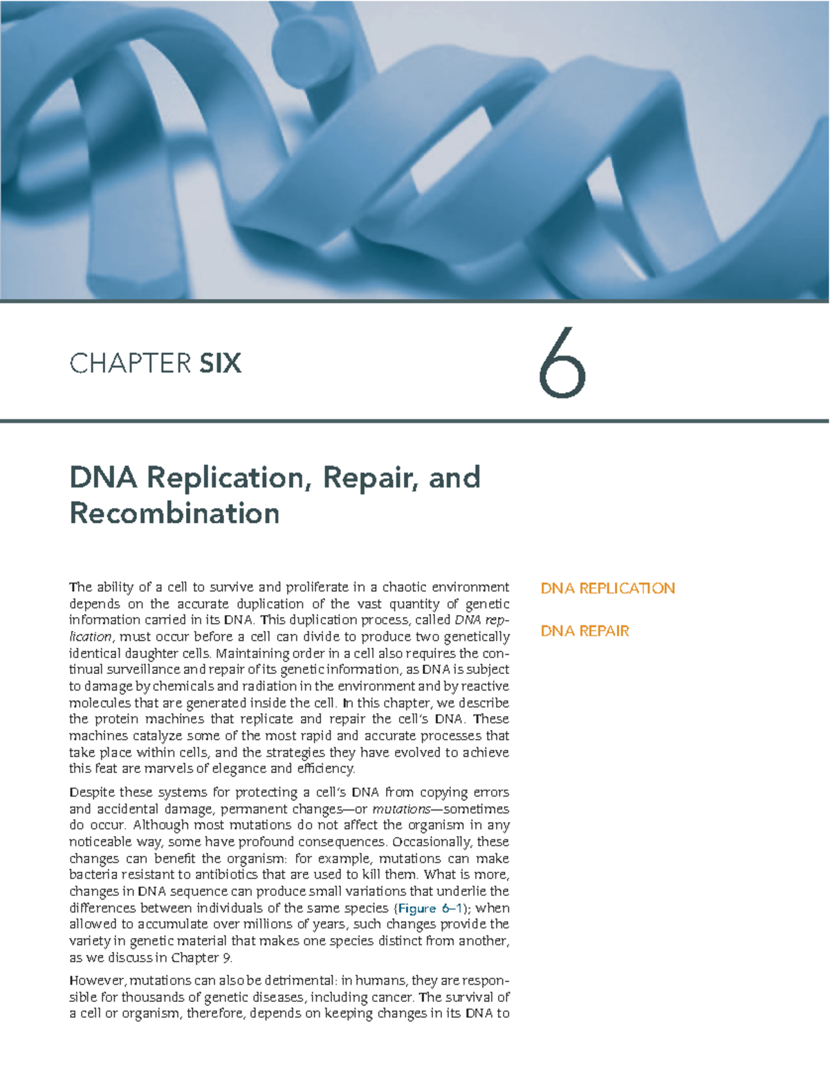 DNA replication - garland science - The ability of a cell to survive ...