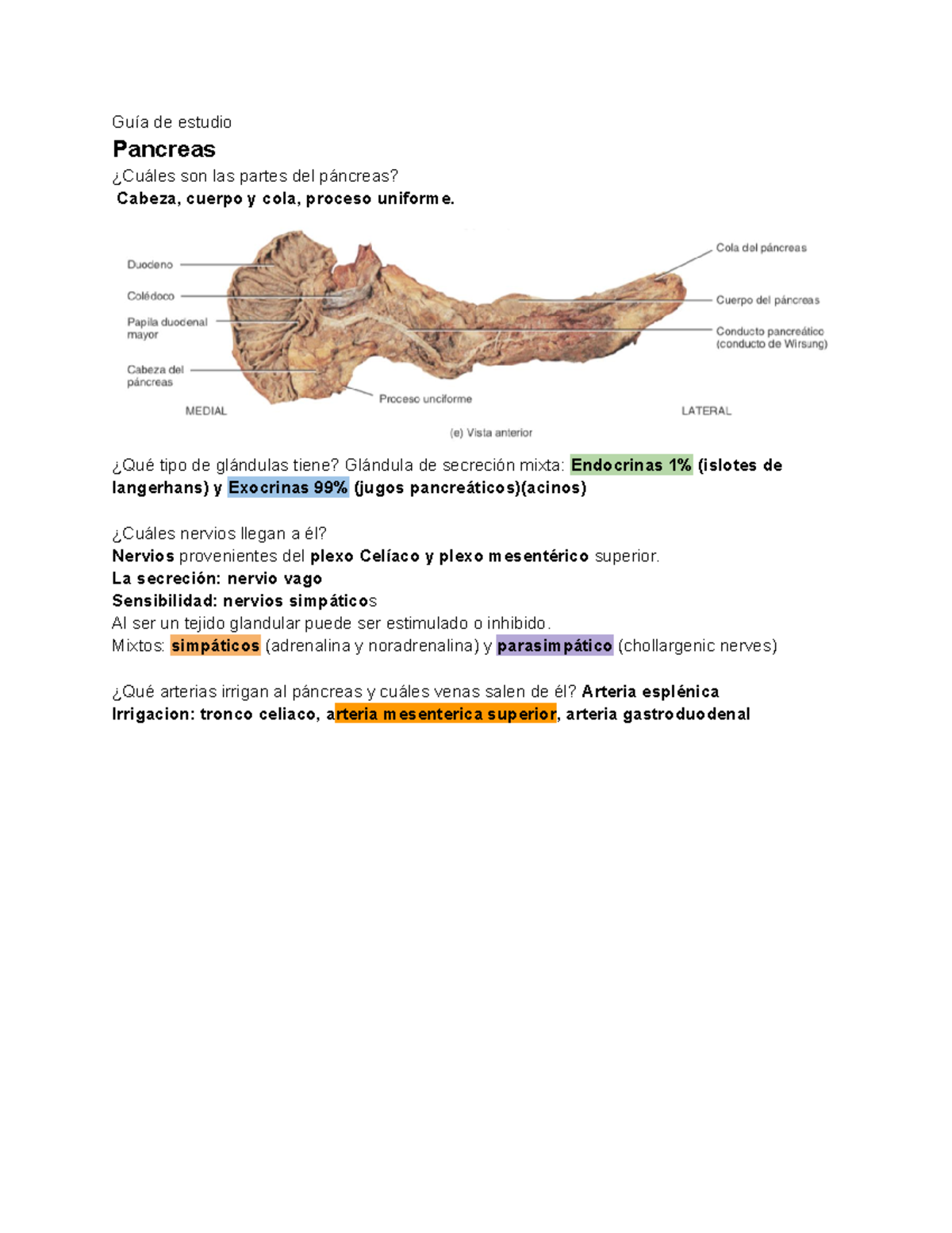 Pancreas GUIA DE Estudio - Guía de estudio Pancreas ¿Cuáles son las ...