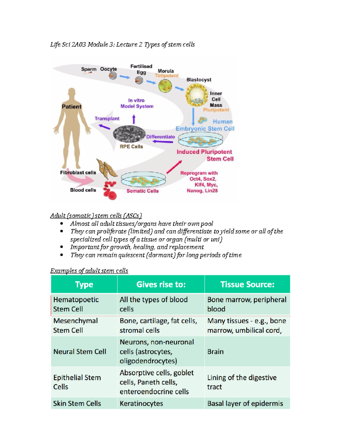 Life Sci 2A03 Module 3 Lecture 2 - Life Sci 2A03 Module 3: Lecture 2 Types of stem cells Adult ...