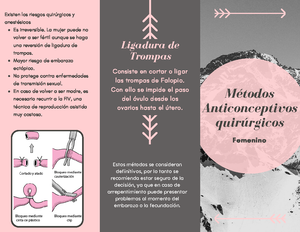 Sistemas Intrauterinos - SISTEMAS INTRAUTERINOS: DIU T DE COBRE Y EL ...