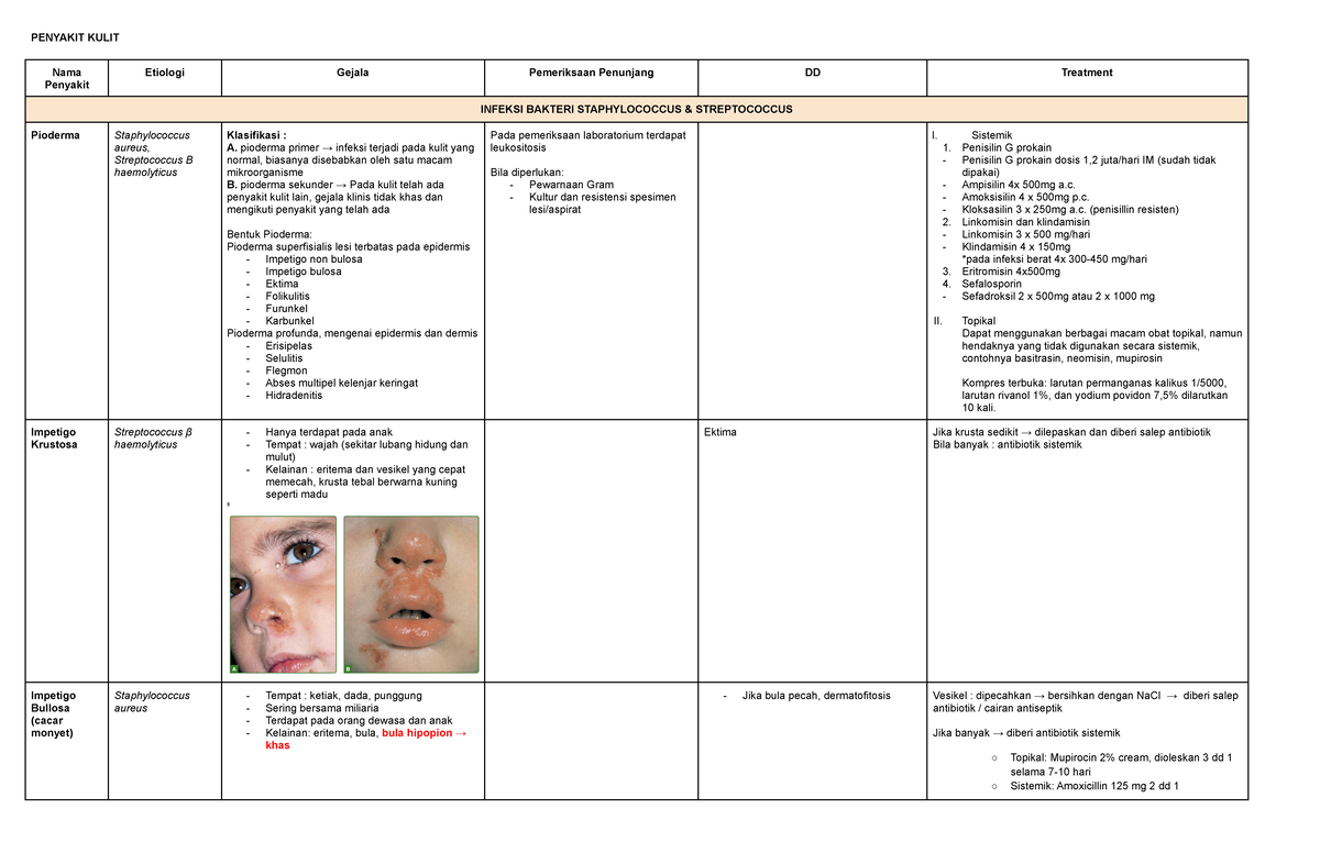 Bacteria Infection in skin - PENYAKIT KULIT Nama Penyakit Etiologi ...