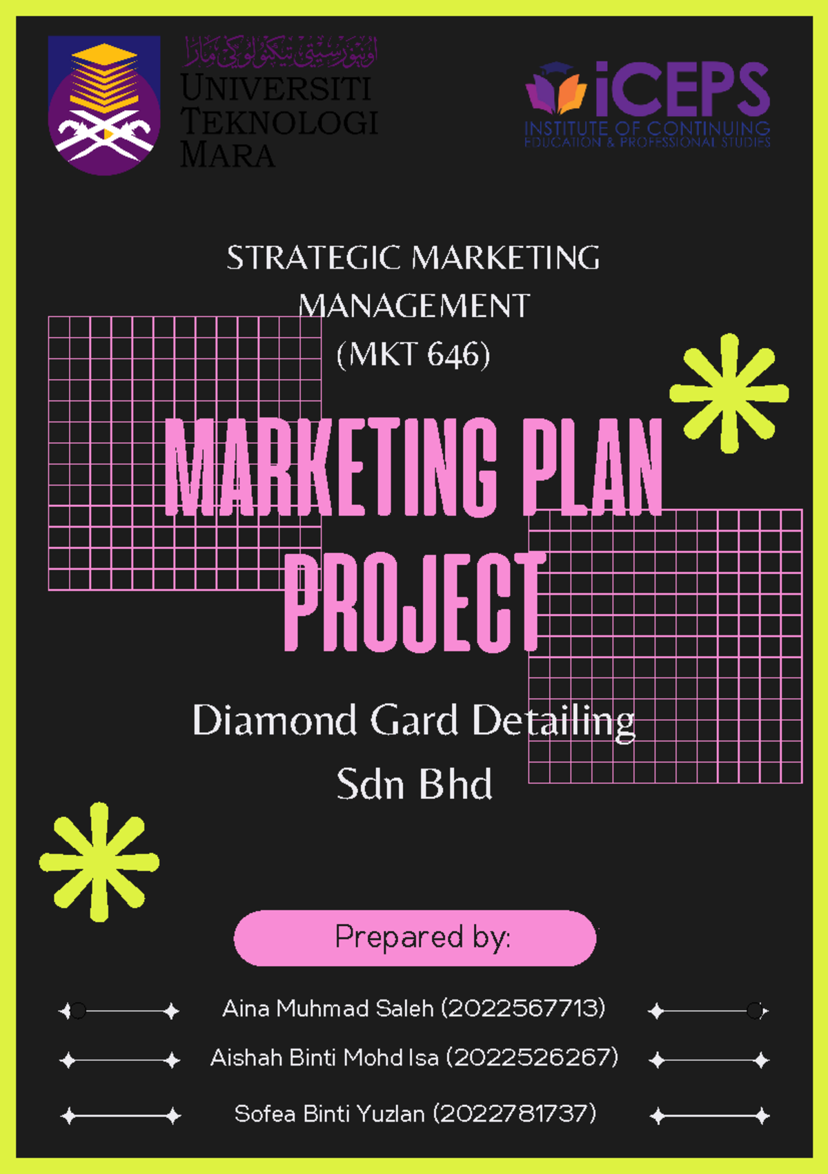MKT 646 - Marketing Plan (Report) - Aina Muhmad Saleh (2022567713 ...