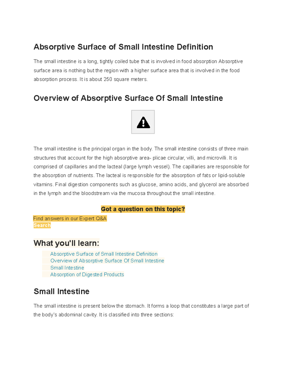 Biology (25) - Absorptive Surface of Small Intestine Definition The ...