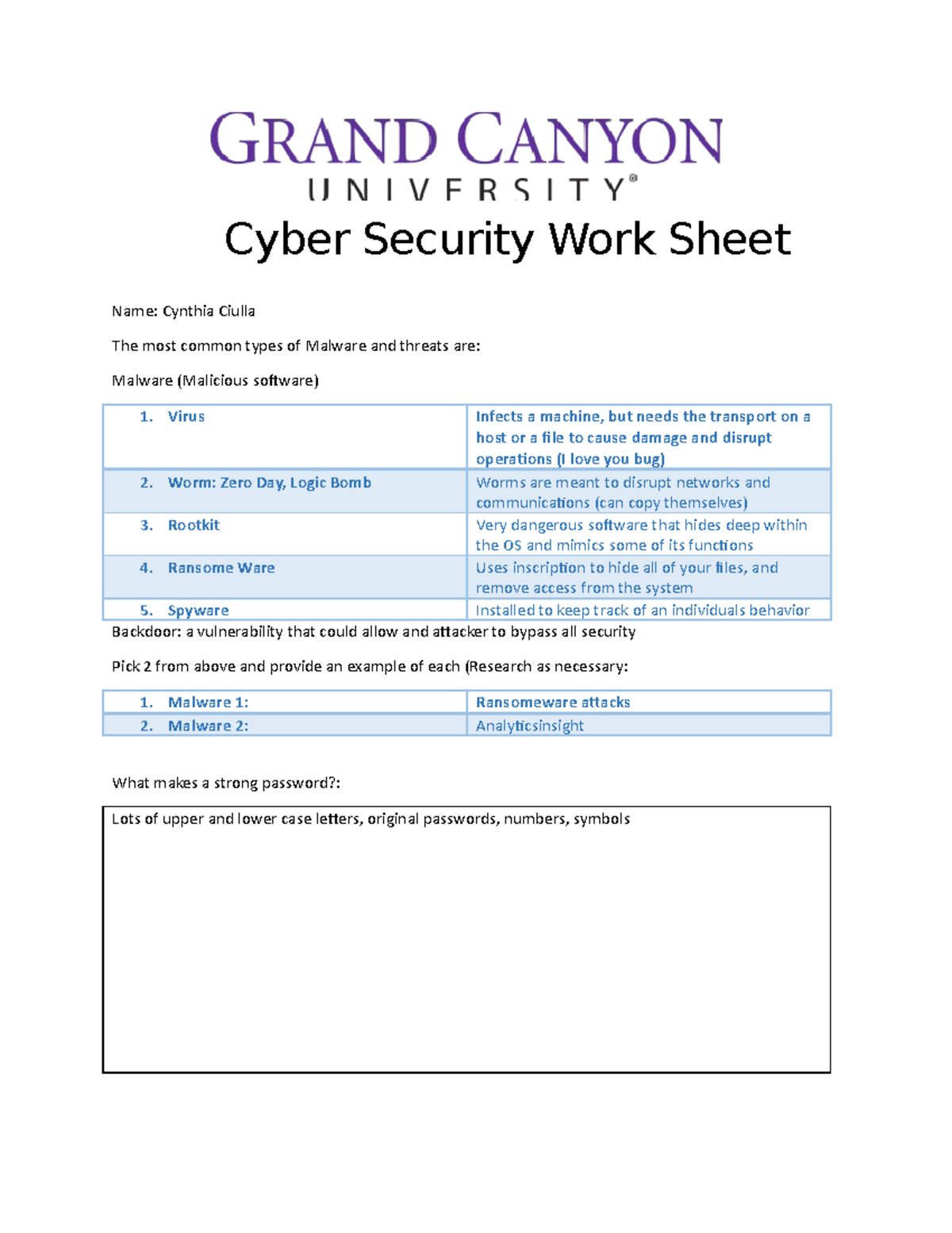 Cyber Security Worksheet - Cyber Security Work Sheet Name: Cynthia ...