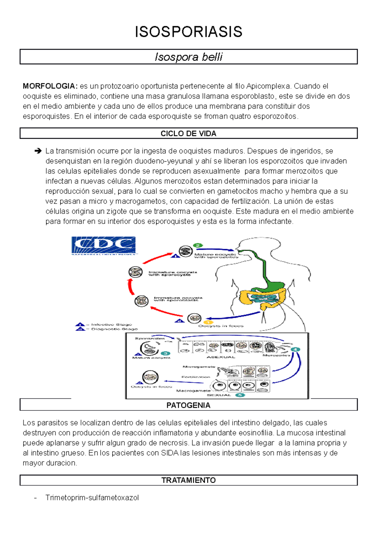 Isosporiasis - .resumen micro era 1 - ISOSPORIASIS Isospora belli ...