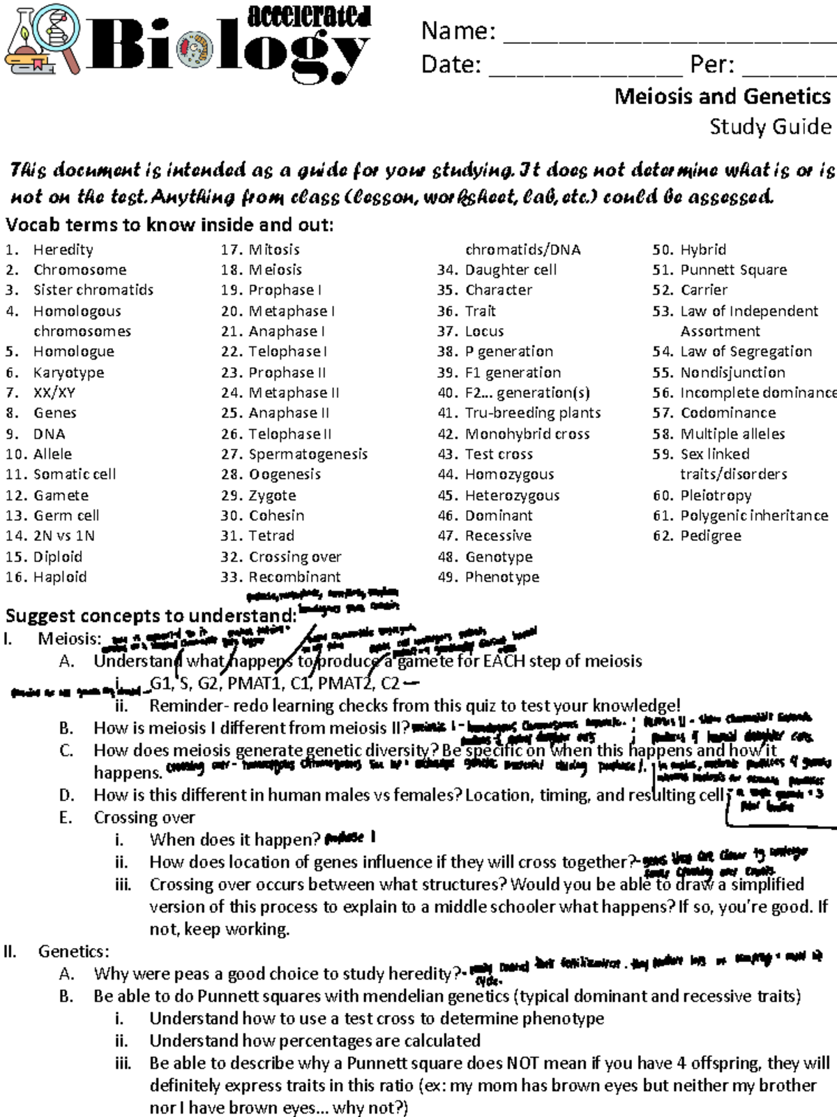 Study Guide Meiosis Genetics - Vocab terms to know inside and out ...