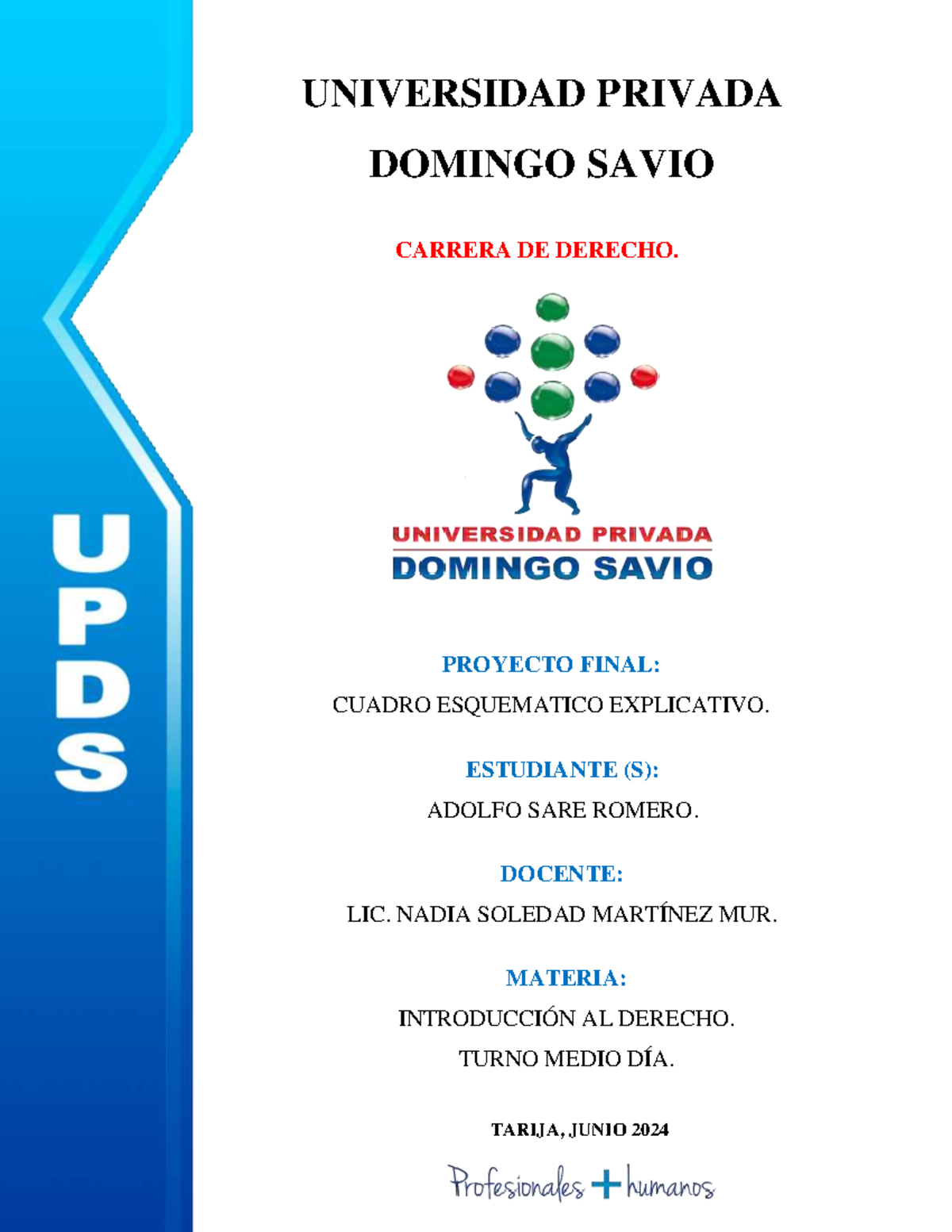 Cuadro Esquematico Explicativo - UNIVERSIDAD PRIVADA DOMINGO SAVIO ...