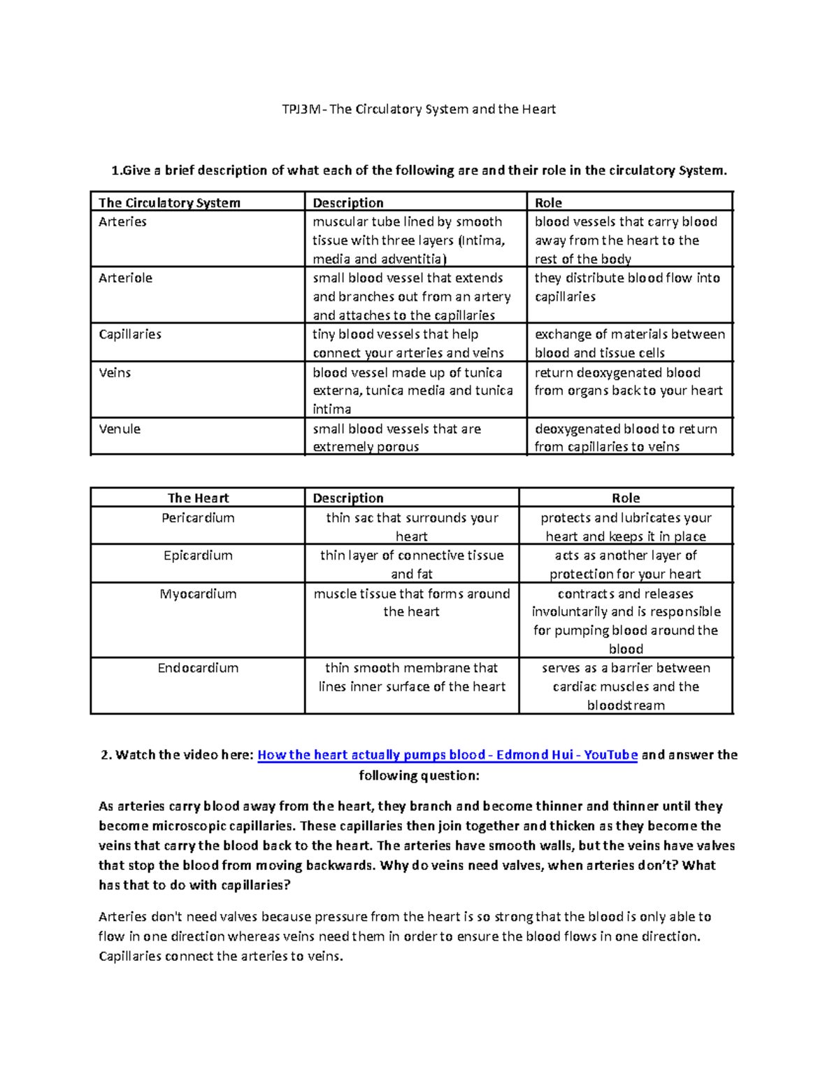 Circulatory System Chart - TPJ3M- The Circulatory System and the Heart ...