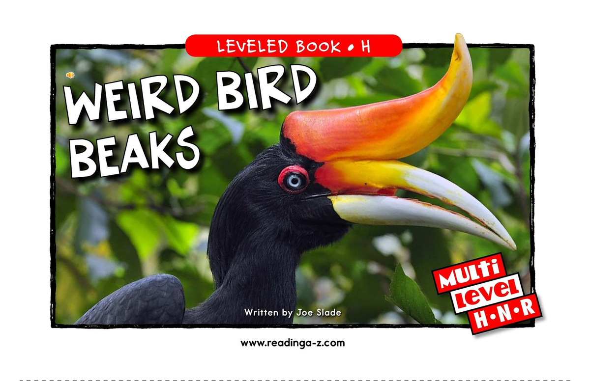 Weird Bird Beaks - asdfasdfasdfasdf - LEVELED BOOK H WEIRD BIRD BEAKS ...