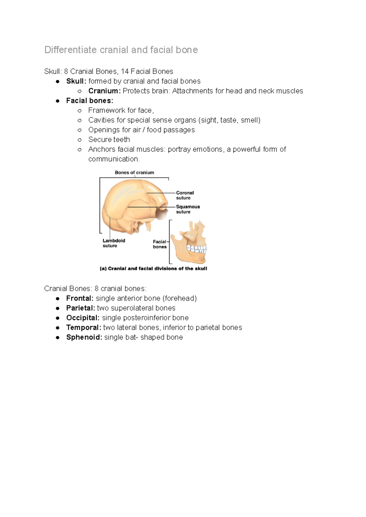 Medi111- Skeletal system - Differentiate cranial and facial bone Skull ...