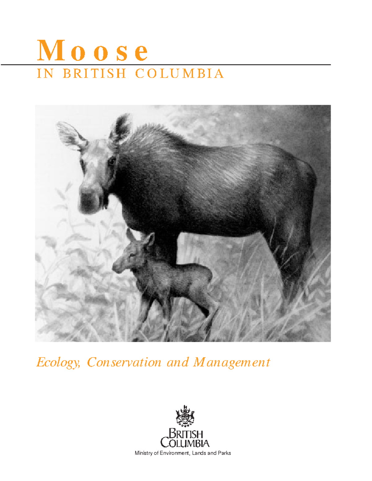 Moose 2 - Sorry people, it's all so I can get my degree and stop ...