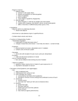 Microsoft Word - Anatomy Lecture Notes Update 2017 - 19 Skeletal muscle ...