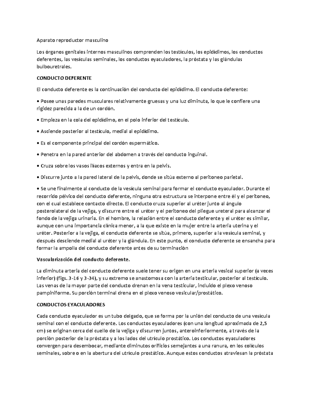 Aparato reproductor masculino - CONDUCTO DEFERENTE El conducto ...