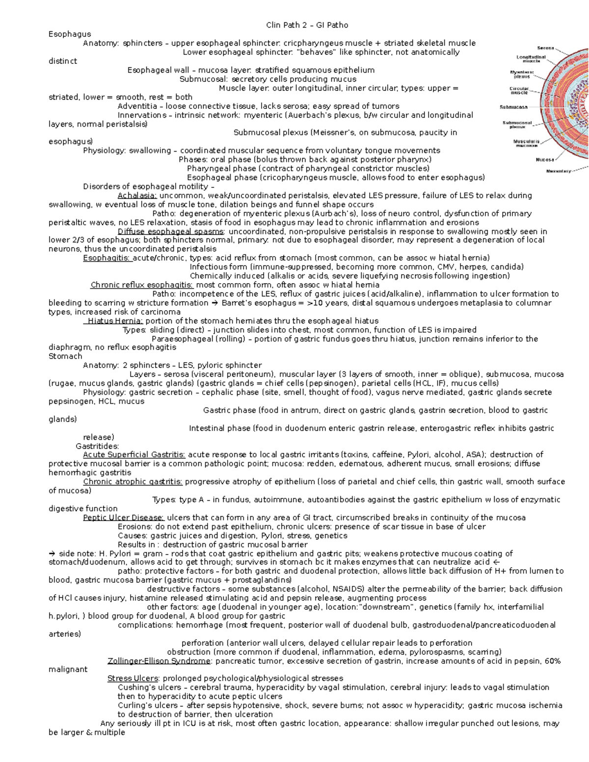 Clin Path 2 – GI Patho - Clin Path 2 – GI Patho Esophagus Anatomy ...