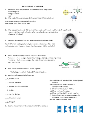 BIO 181 PCR: Gel Electrophoresis Lab - Jake Bio 181L Tr 12/6/ Iqbal PCR ...