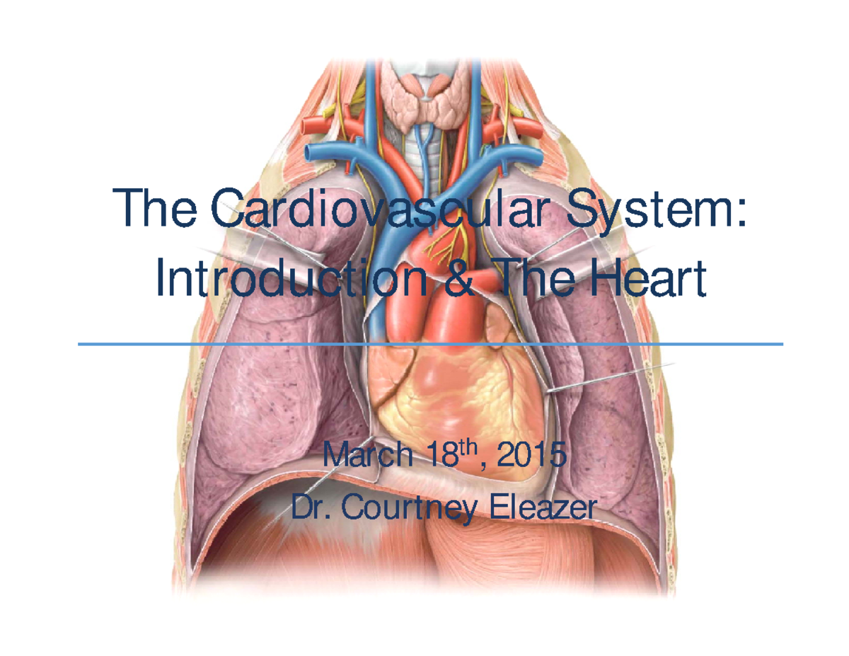 Chapter 21-The Heart I - The Cardiovascular System: Introduction &amp ...