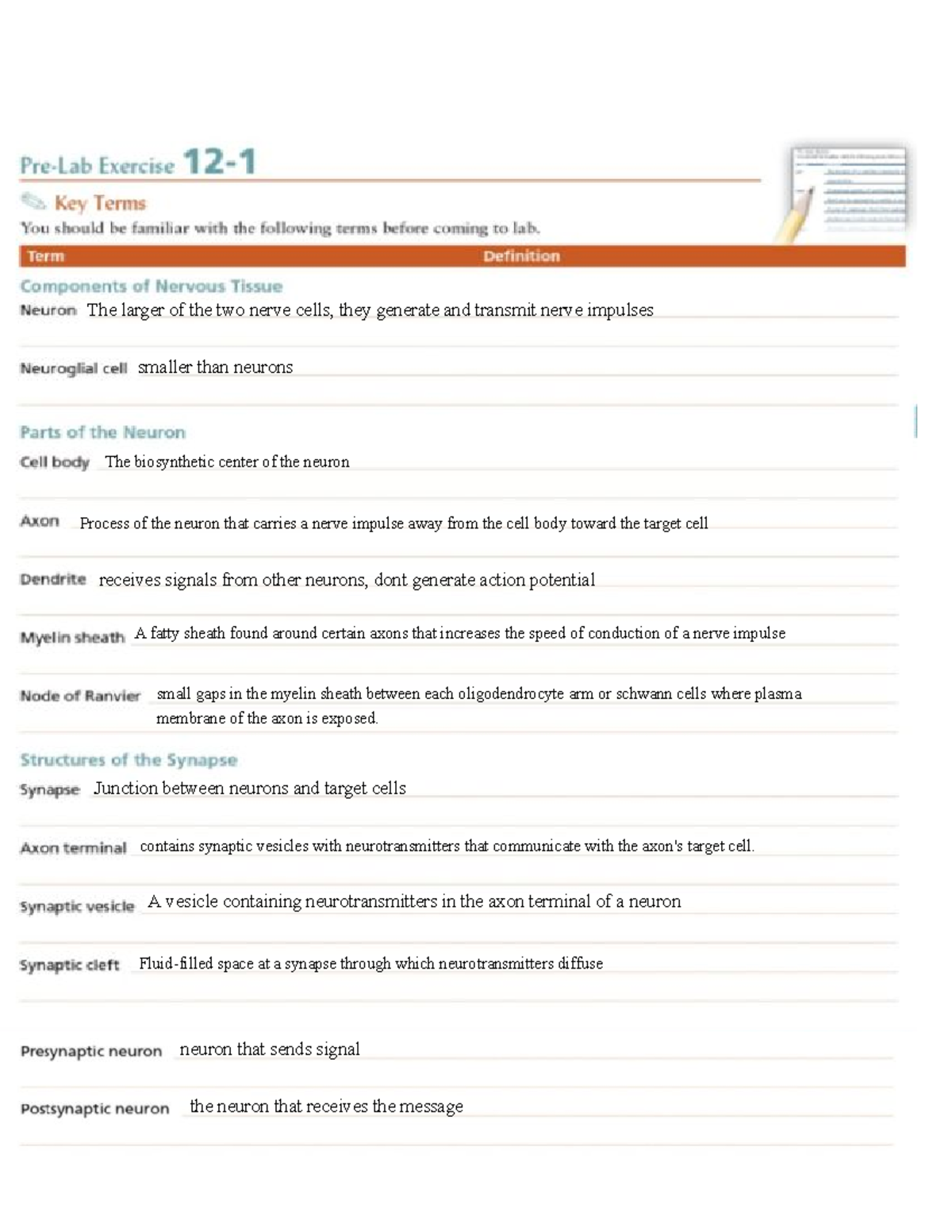 Unit 12: Introduction to the Nervous System. Lab 12 - BIOL 2401 - Studocu