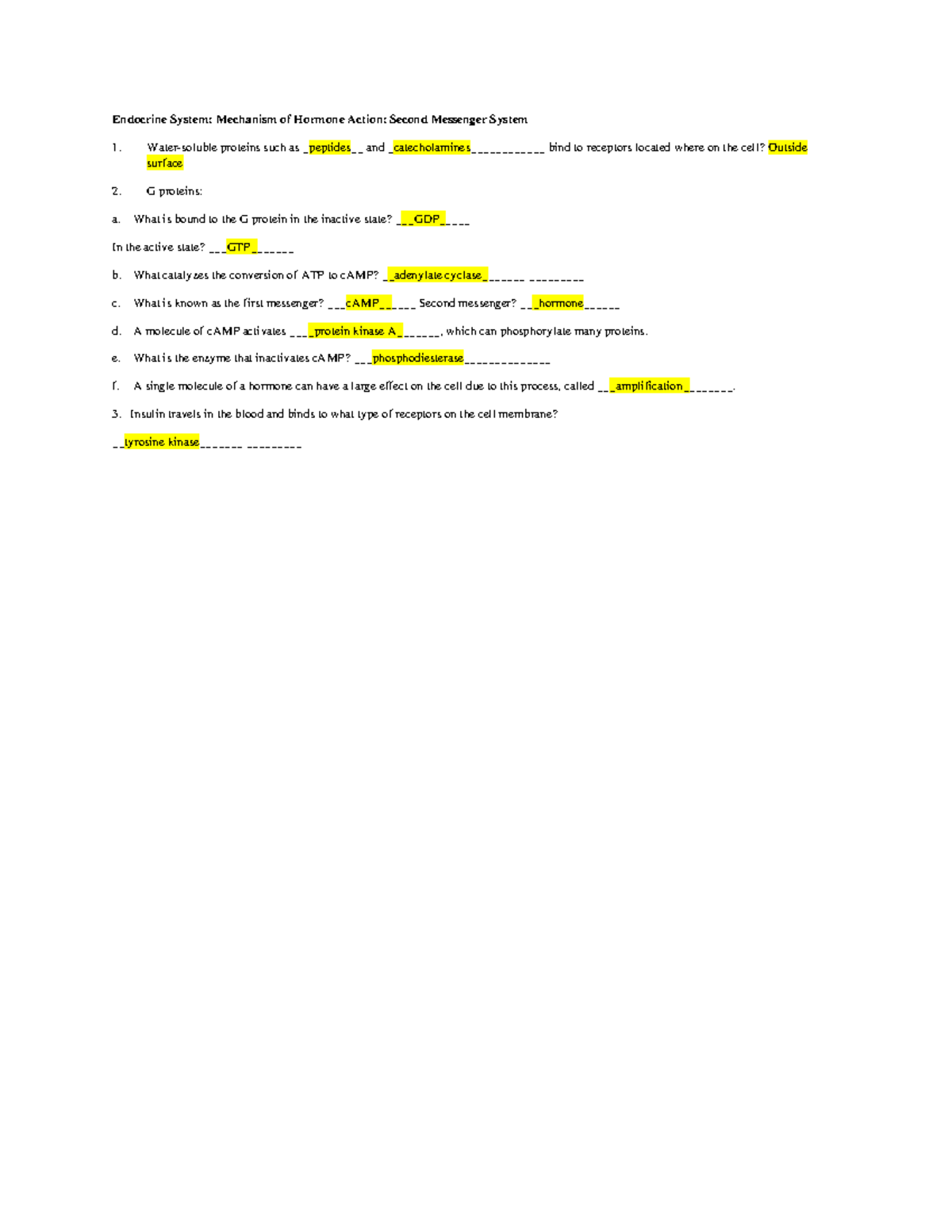 Second Messanger - Dr. Vatnick Worksheet - Endocrine System: Mechanism ...