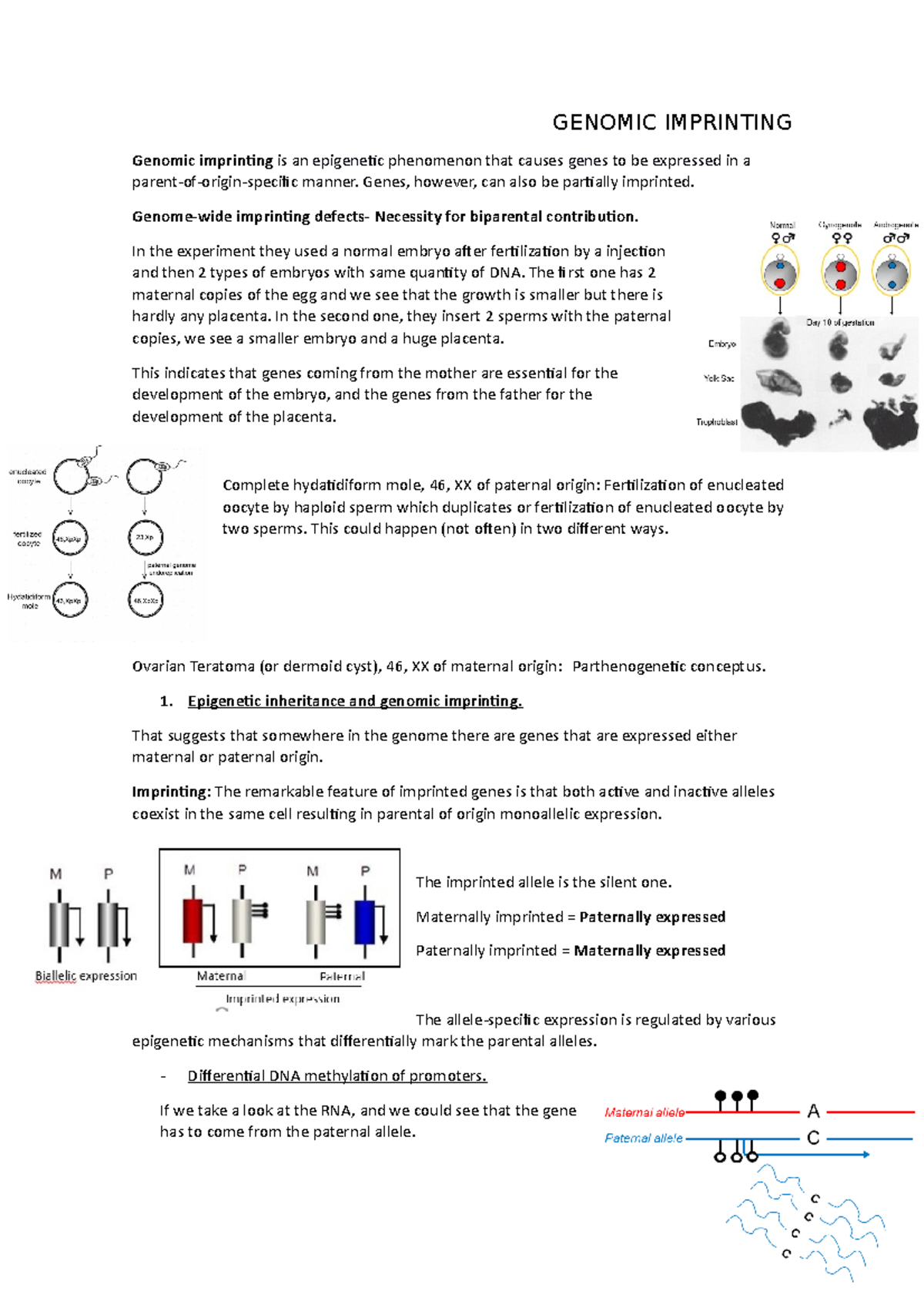 9. Genomic imprinting - Lecture notes 9 - GENOMIC IMPRINTING Genomic ...