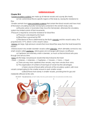 MC 3 Reflection - Multiple-choice reflection template Choose one ...