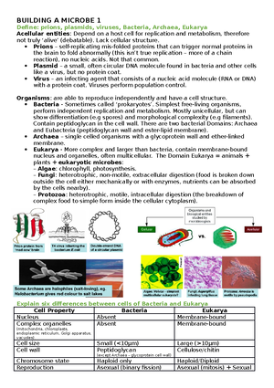 Microbiology - lecture notes - BASIC FUNCTIONS: What's in a microbe 4 ...