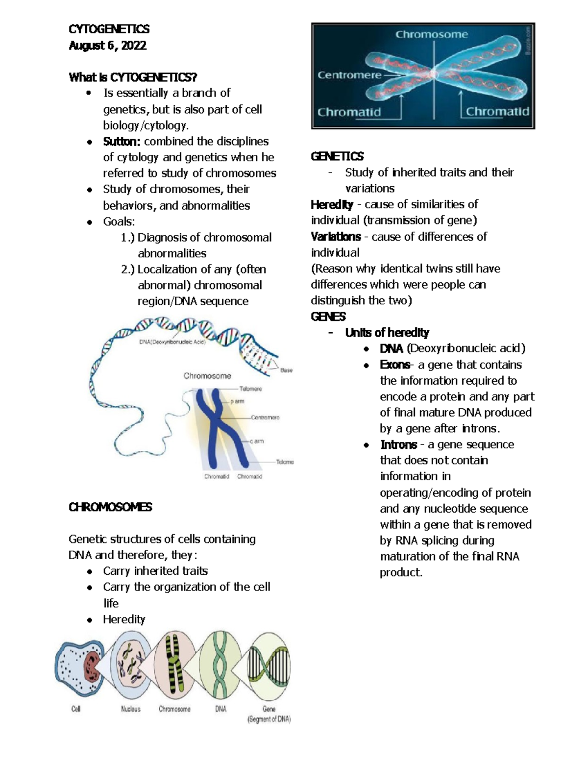 Prelims - all about cytogenetics - CYTOGENETICS August 6 , 2022 What is ...