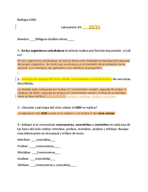 Vista Lección 2 - Preguntas y Respuestas de Leccion 2 - Lxico 2. Study ...