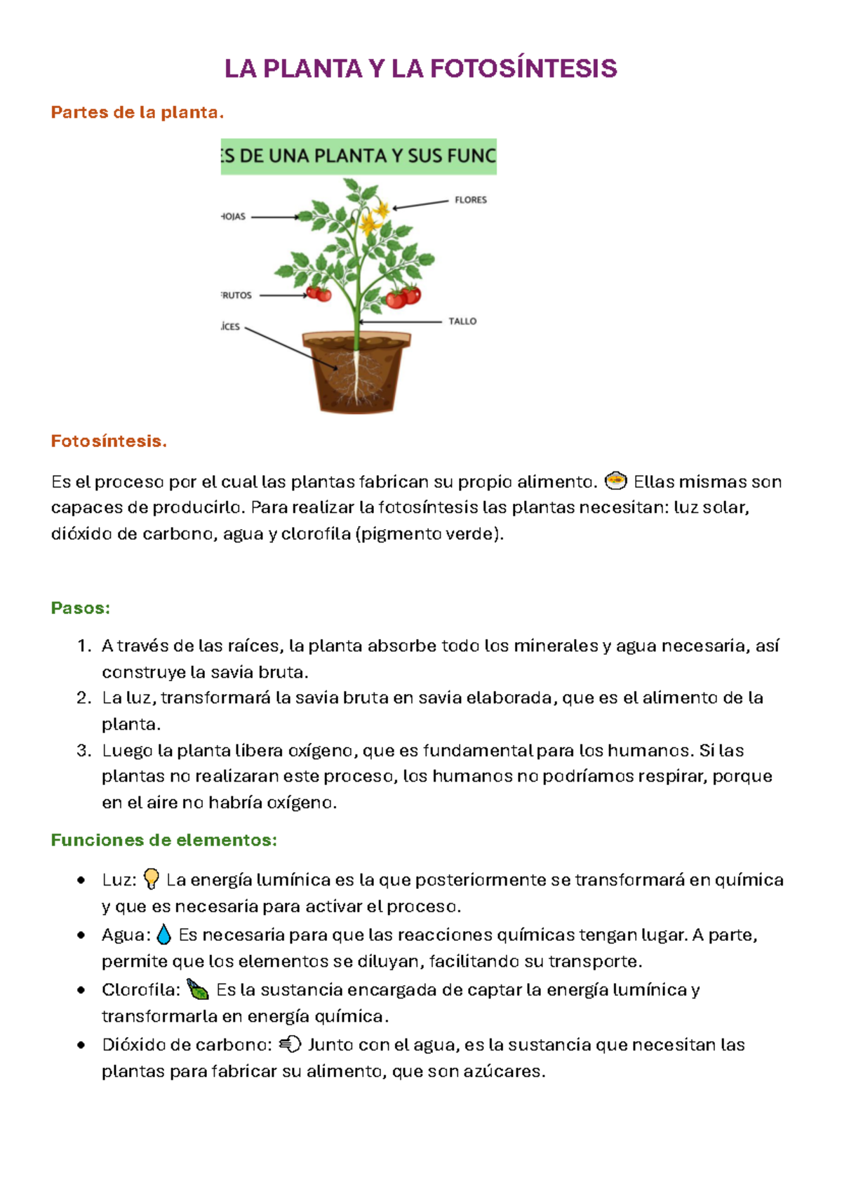 LA Planta Y LA Fotosíntesis - LA PLANTA Y LA FOTOSÍNTESIS Partes de la ...