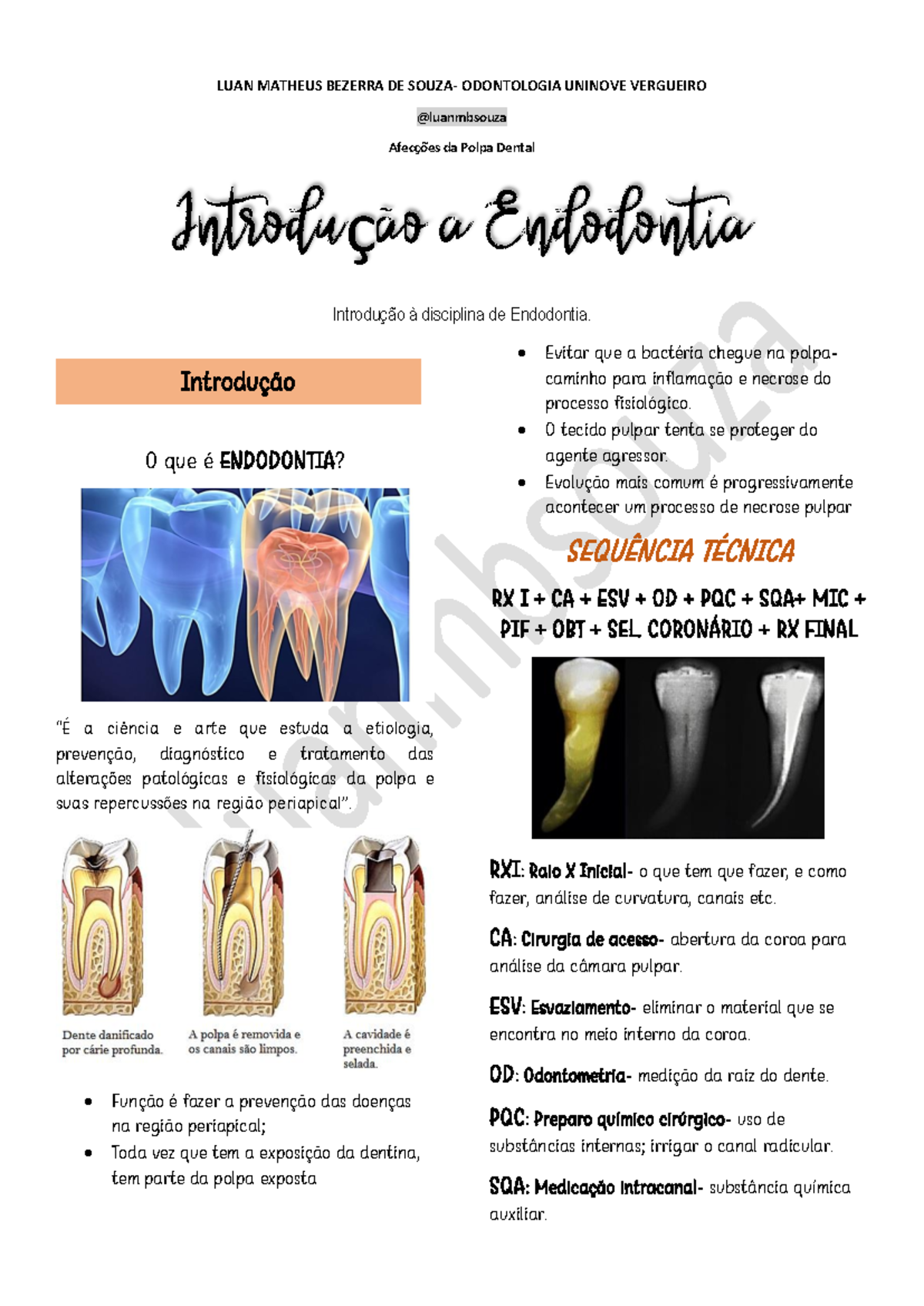 Resumos ENDO 4 Semestre - LUAN MATHEUS BEZERRA DE SOUZA- ODONTOLOGIA ...