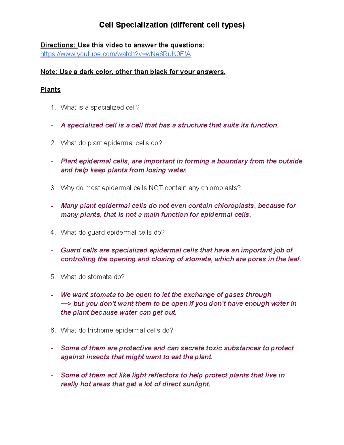 Cell Specialization Notes - Cell Specialization (different cell types ...