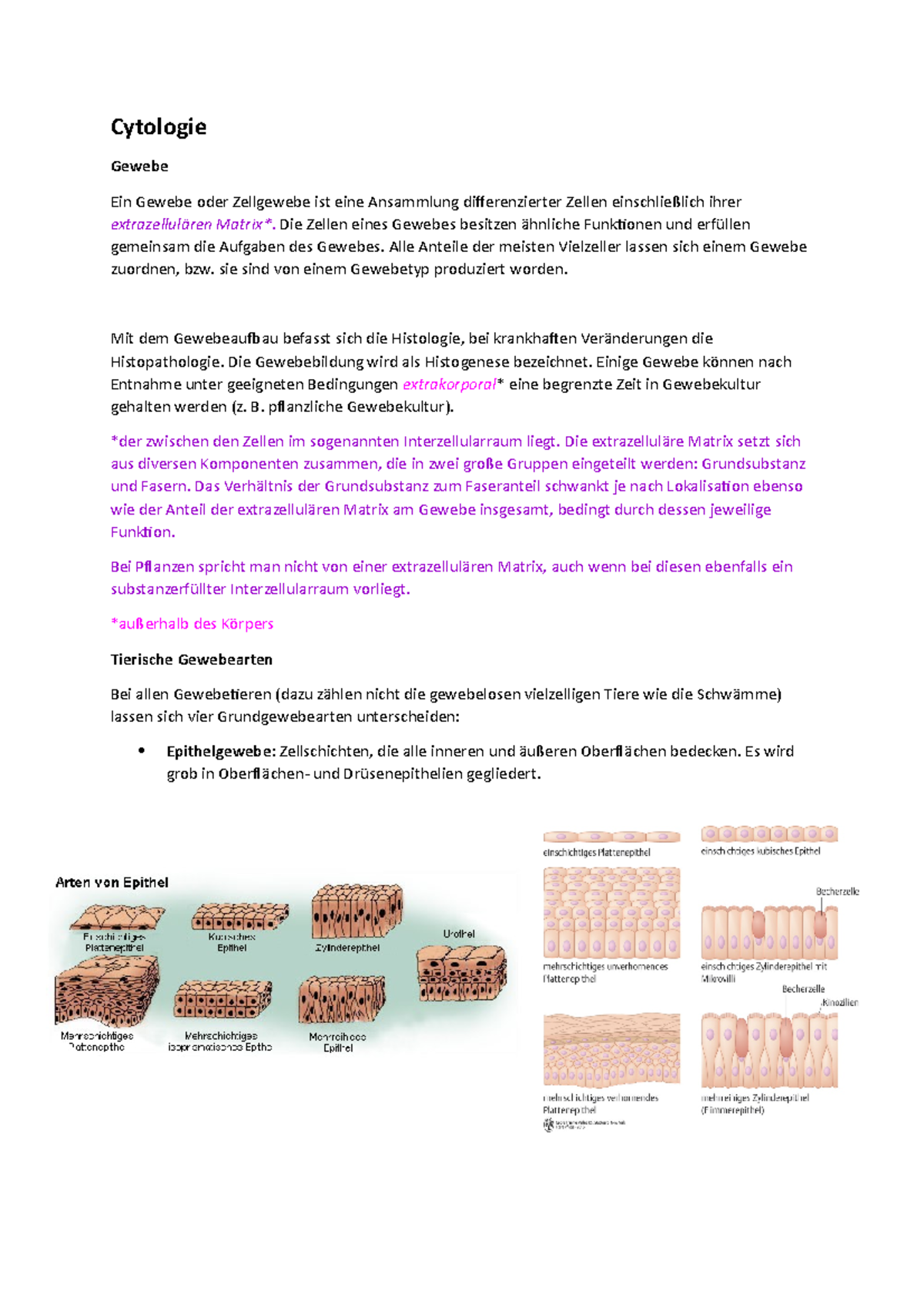 Cytologie - Cytologie Gewebe Ein Gewebe oder Zellgewebe ist eine ...