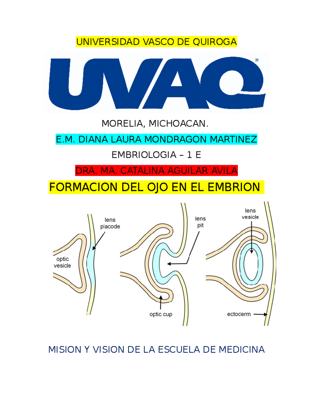 Embriología descripción del ojo y anatomía - UNIVERSIDAD VASCO DE ...