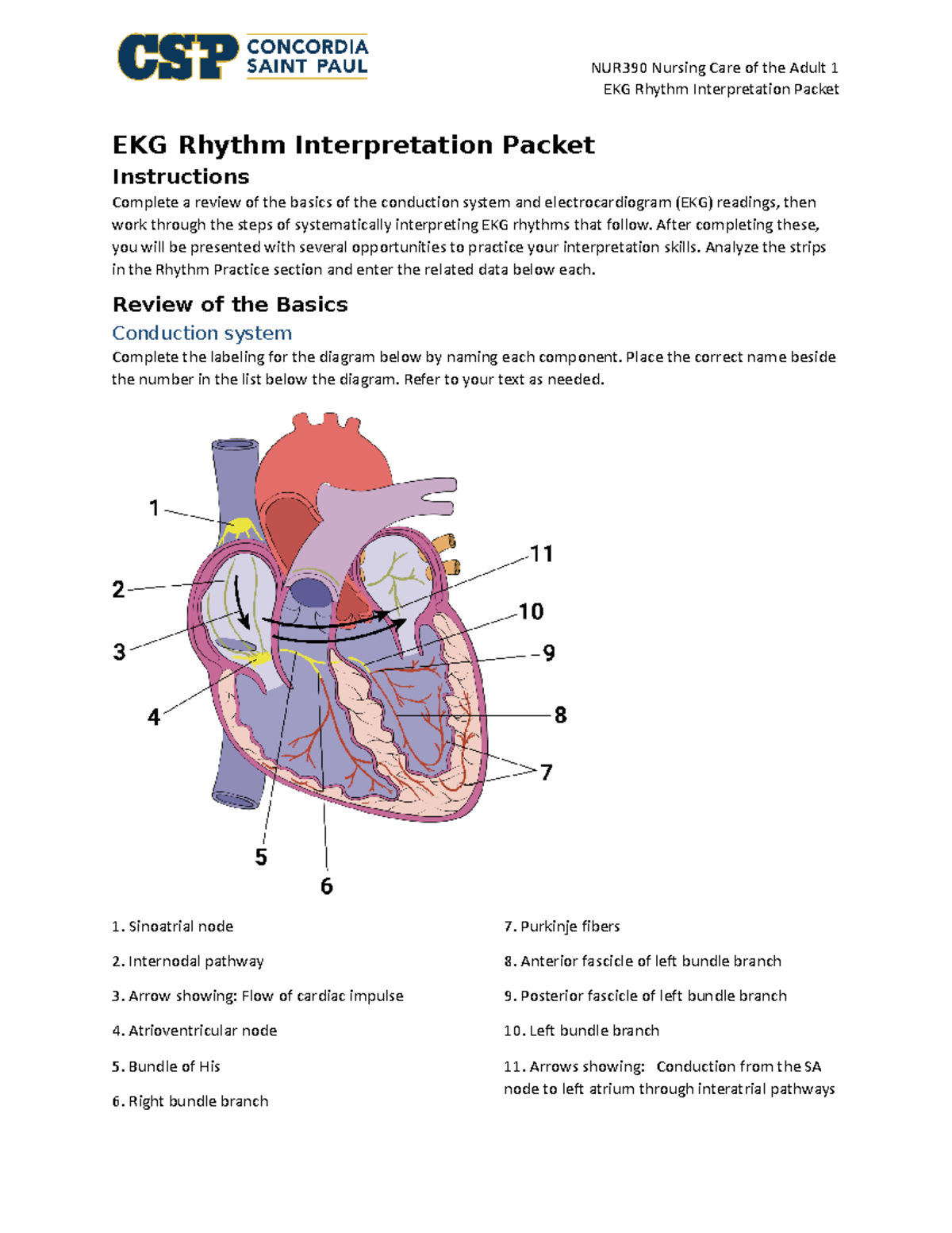 EKG Rhythm Interpretation Packet Updated - EKG Rhythm Interpretation ...