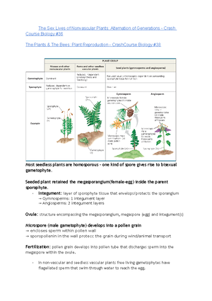 Vascular Seedless Plants Life Cycle