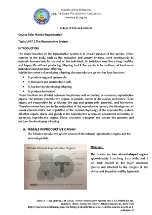 R3File Gen User Manual - SOCIAL SECURITY SYSTEM R3 File Generator U ...
