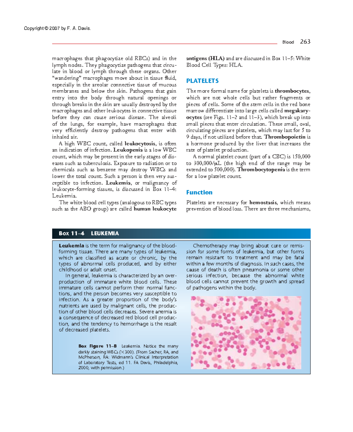 Anatomy and Physiology (29) - macrophages that phagocytize old RBCs ...