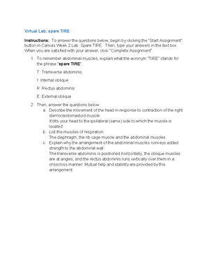 AHP106 Wk1 Assignment Worksheet - Microbiology Basics Go Figure ...