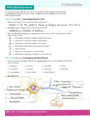 Unit 15 prelab. - BIOS 2310L - Studocu