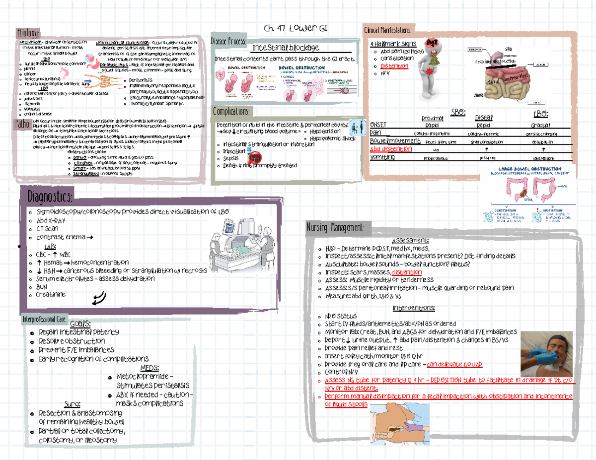 Lower GI intest block and ostomies - Etiology: Clinical Manifestations ...