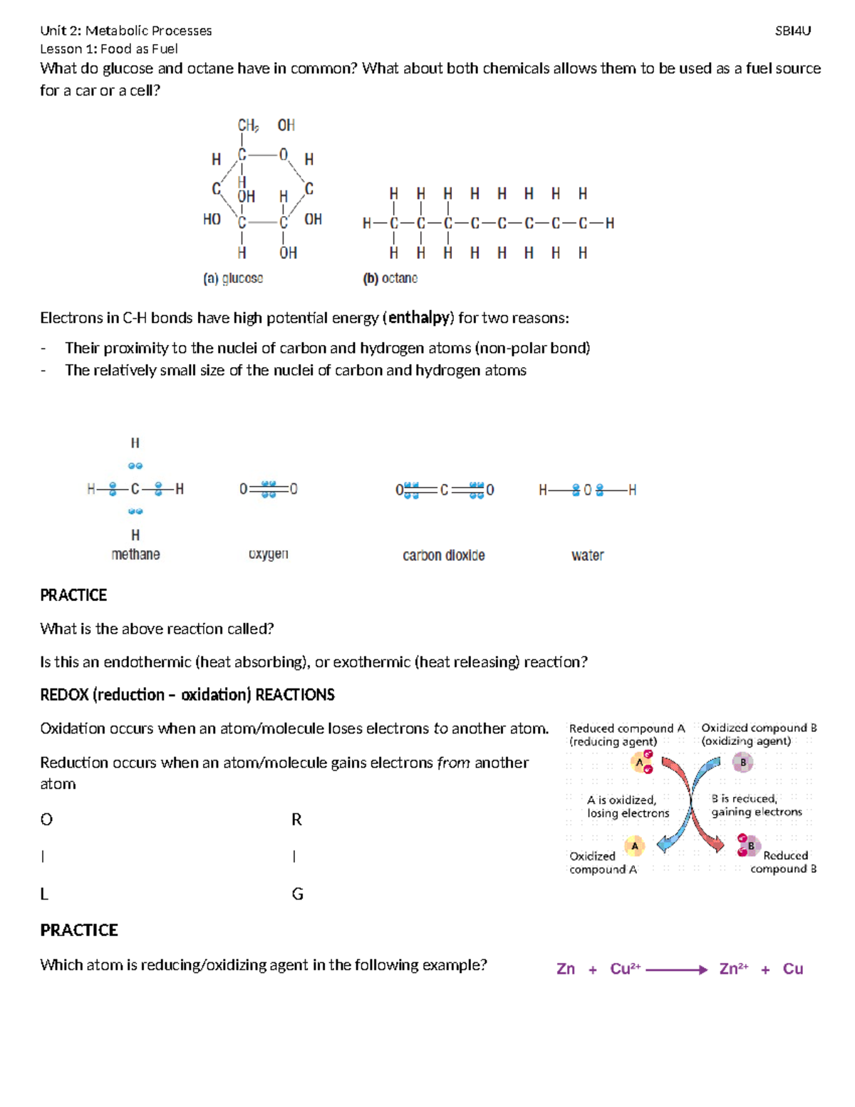 U2L1 Food As Fuel Student - Lesson 1: Food as Fuel What do glucose and ...